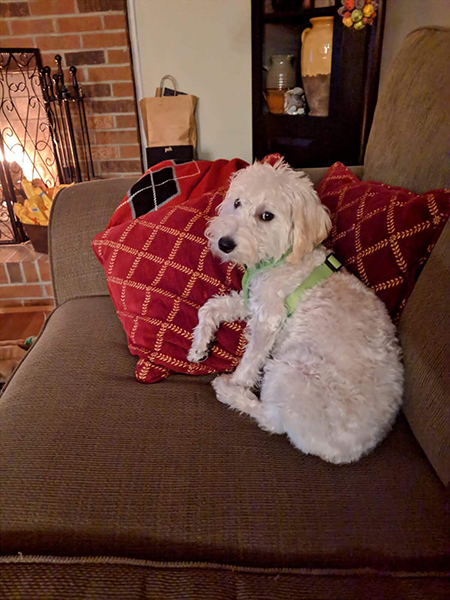 Benedict (Benny) Printz Update - Pierce Schnoodles