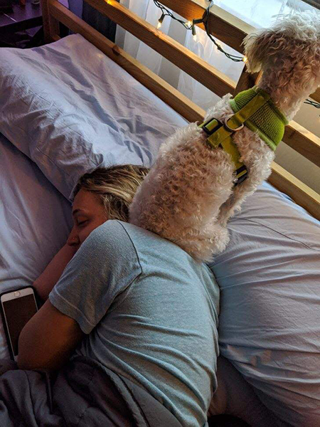 Benedict (Benny) Printz Update - Pierce Schnoodles