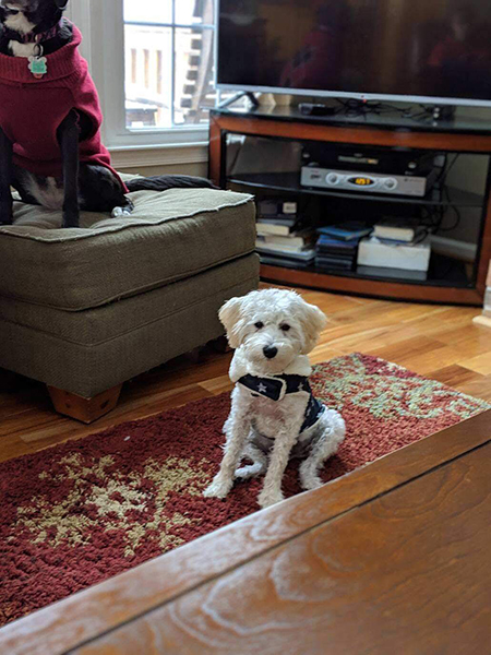 Benedict (Benny) Printz Update - Pierce Schnoodles