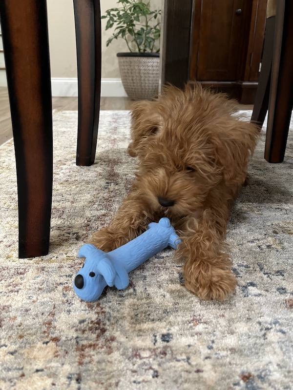 Kirby Update - Pierce Schnoodles