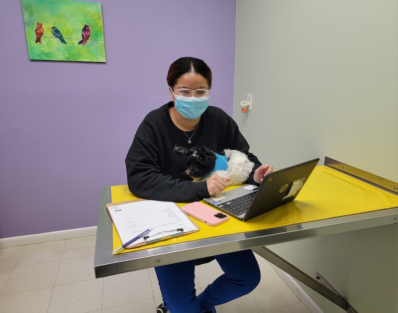 Joshua - Pierce Schnoodles